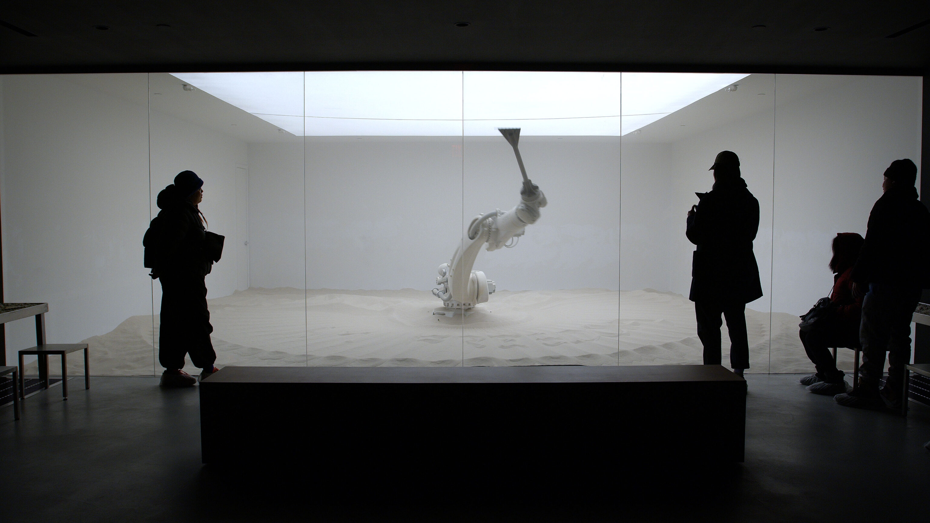 The Beach | Robotic Art Mercer Labs | Volvox Labs