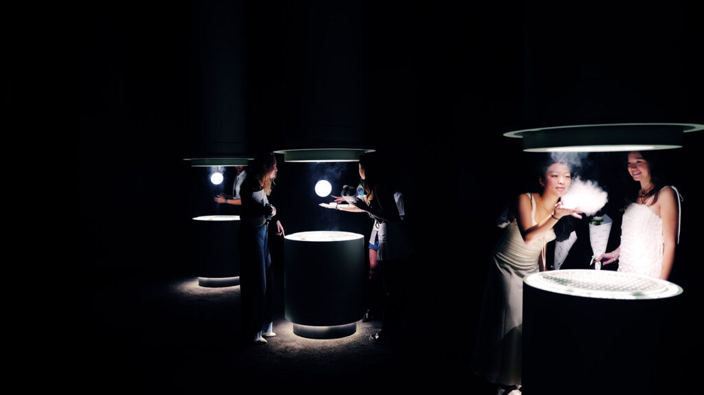 Prada Paradoxe - Volvox Labs